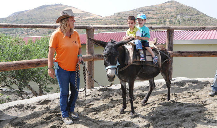 Donkey Riding – Crete Horse Riding