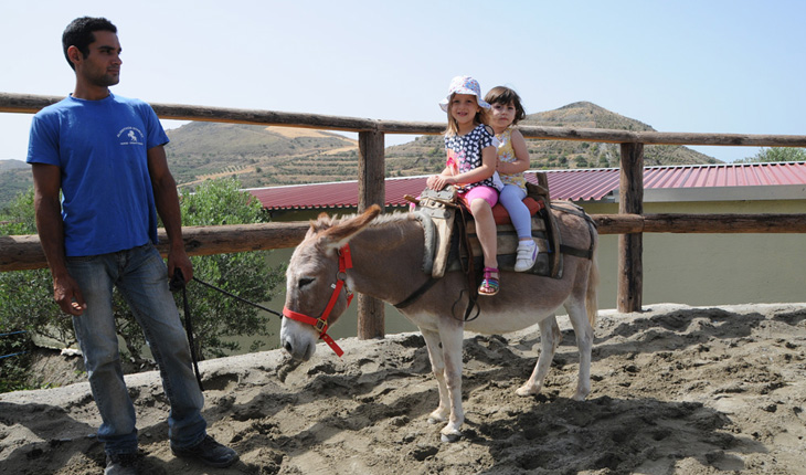 Donkey Riding – Crete Horse Riding