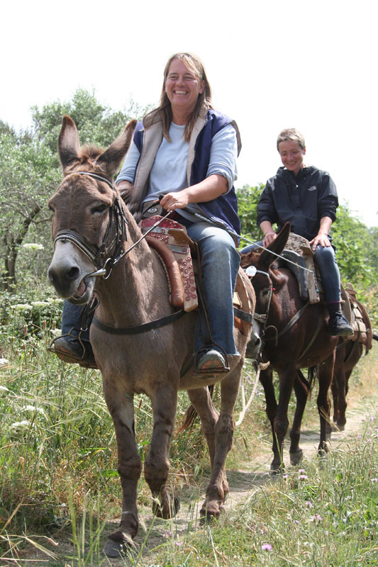 Country Ride – Crete Horse Riding