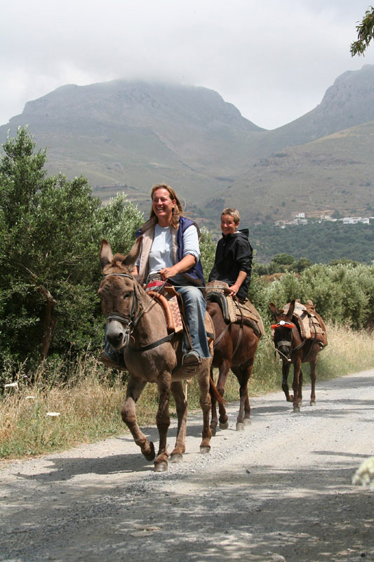 Country Ride – Crete Horse Riding