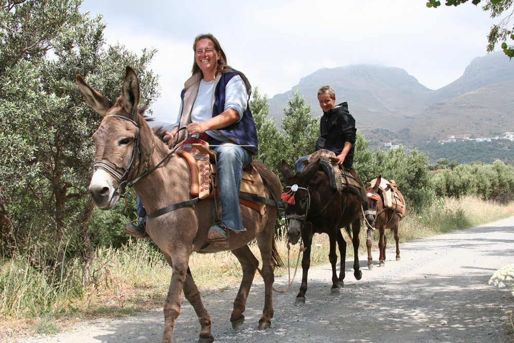 Country Ride – Crete Horse Riding