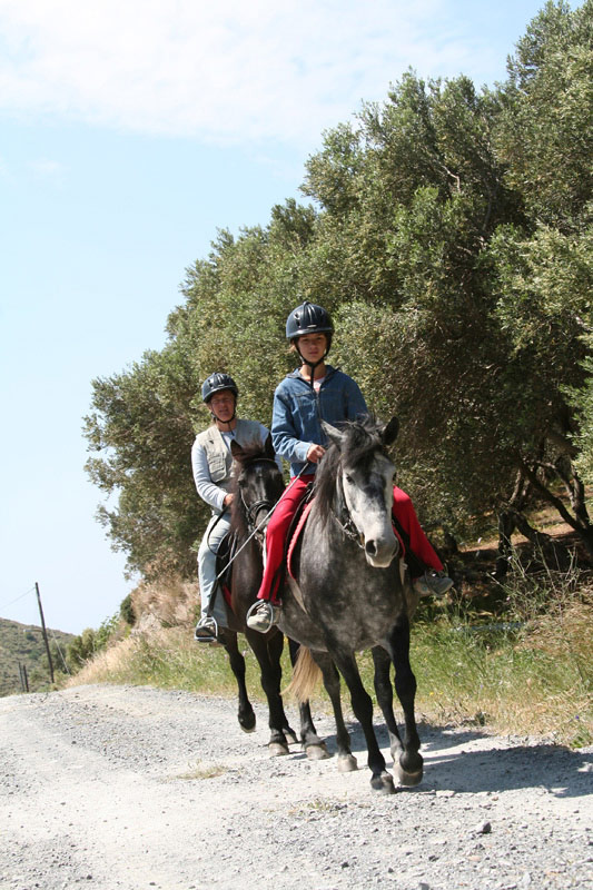 Cretan Countryside – Crete Horse Riding