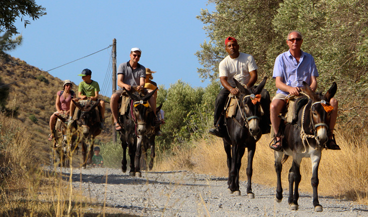 Donkey Riding – Crete Horse Riding
